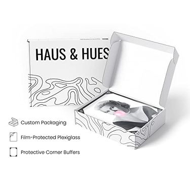 Buy ALAYRA Celebrity Wall Art Pop Art Wall Decor - Set of 4 Fashion ...