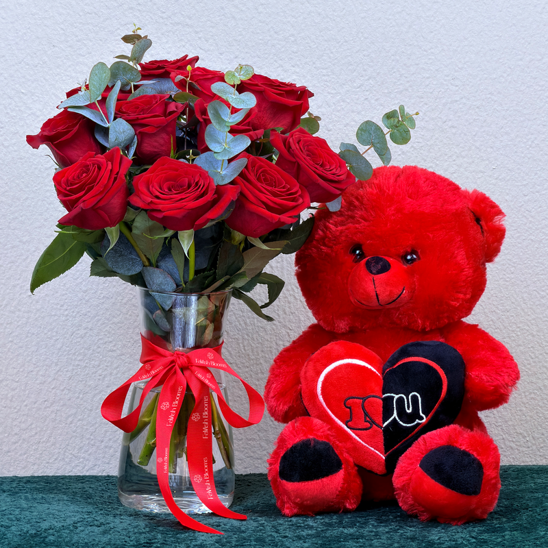 اشترِ Love in Red 11 Roses عبر الإنترنت | دانوب هوم الإمارات