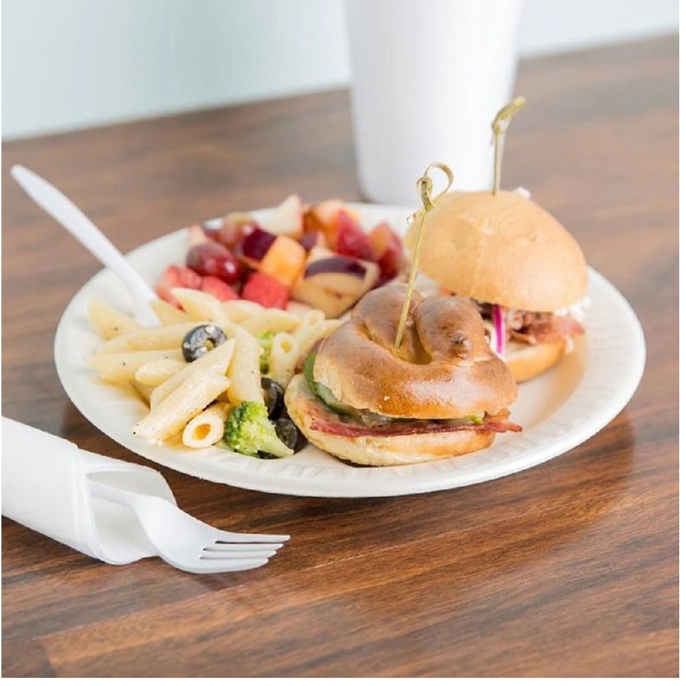 Buy White Disposable Foam Paper Plates (9 Inch-500 Pack) Online ...