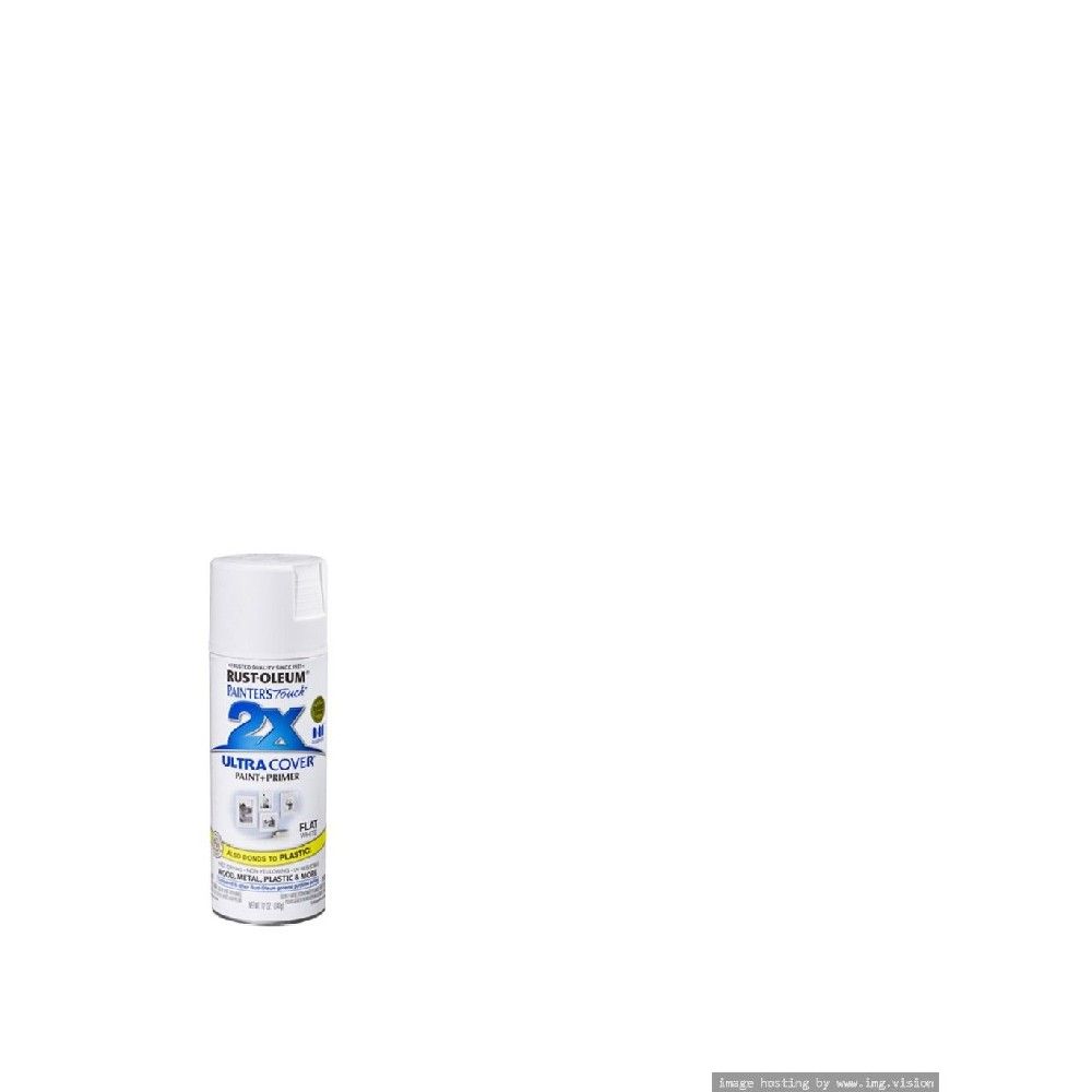 Buy RustOleum Painters Touch 2X Ultra Cover Flat White Online | Danube ...