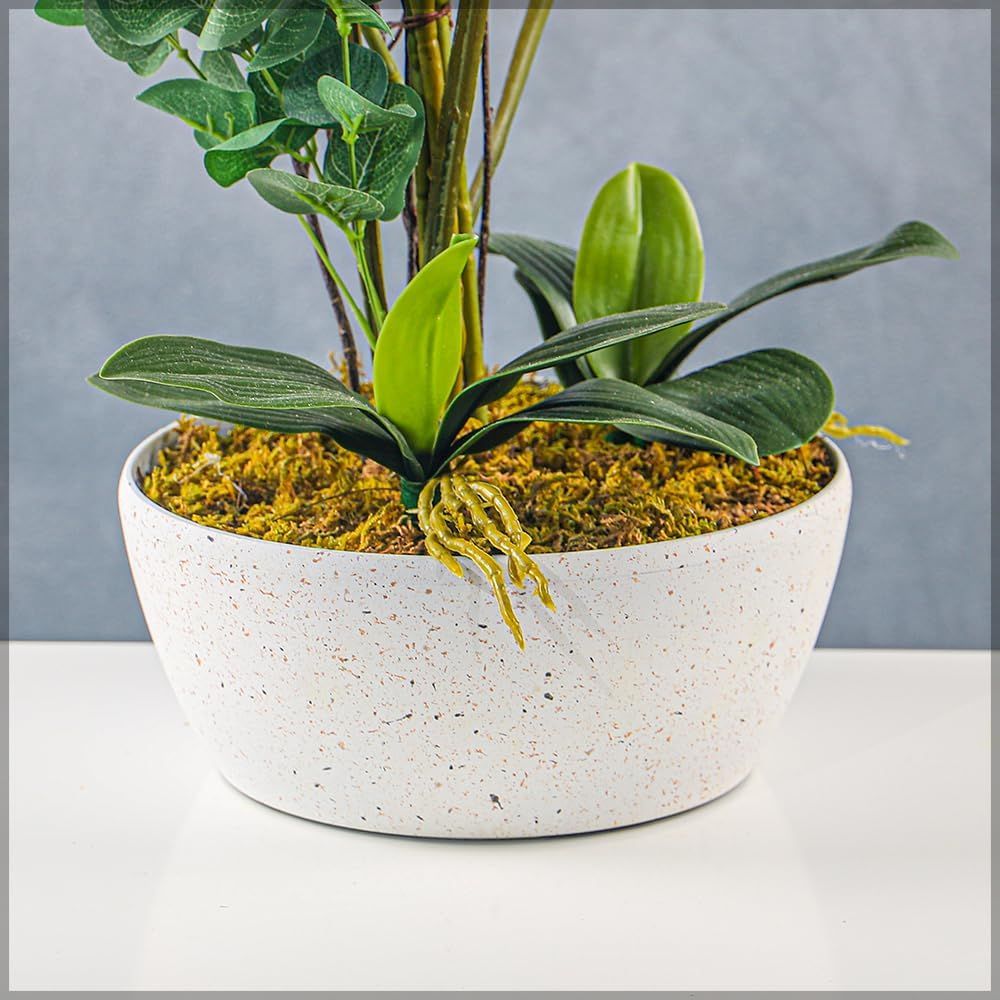 Buy Round Planter with Drainage | Plastic Vases for Indoor and Outdoor ...