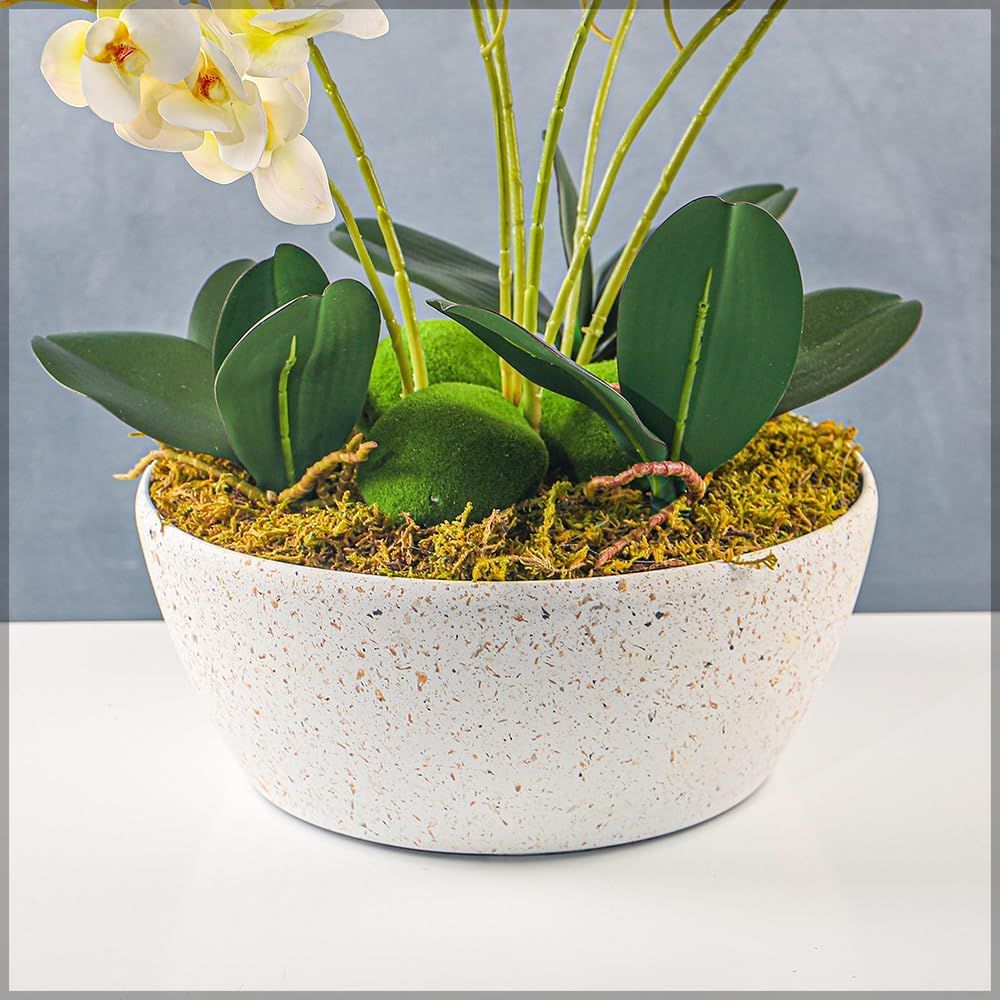 Buy Yatai Round Planter with Drainage | Plastic Vases for Indoor and ...